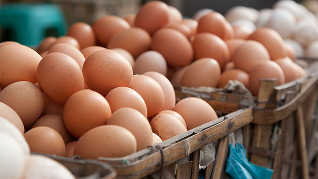 17 Day Diet Egg Breakfast Recipes Cycle 1 Dogsinter 17 Day Diet Egg Breakfast Recipes Cycle 1 Dogsinter