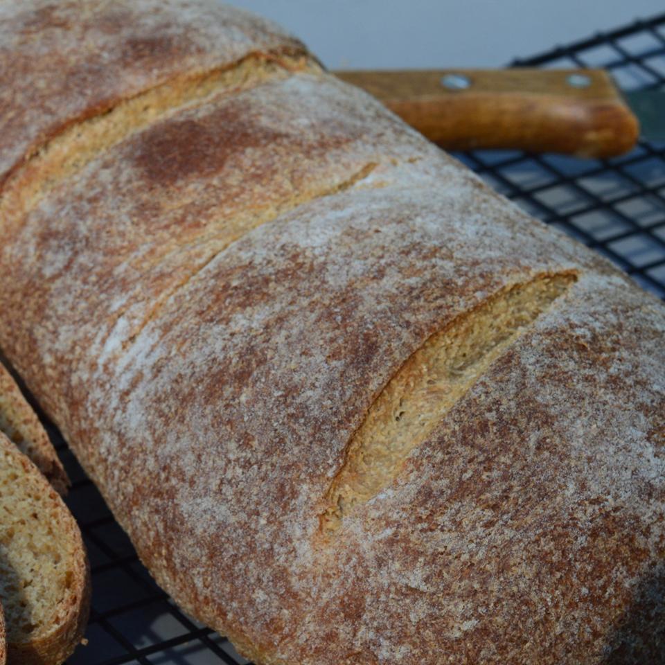 Tabitha's Homemade Wheat Bread Recipe | Allrecipes